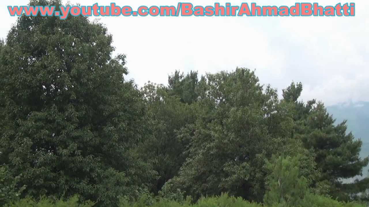 ★♥ Shogran (Kaghan Valley) Northern Areas Of Beautiful Pakistan-Nature ...
