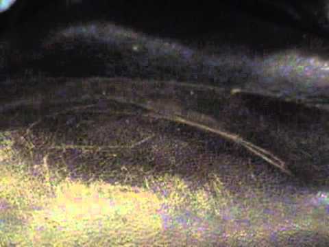 Larry Haws - A Celebration of Life 26 - Pastor Carol from Place of Hope ...