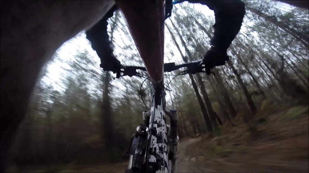 Swinley Forest - Red Route - YouTube