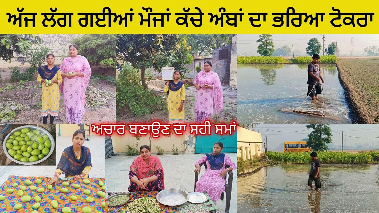 ਖੇਤਾਂ ਦਾ ਨਜ਼ਾਰਾ ਸਾਰਿਆਂ ਤੋਂ ਪਹਿਲਾਂ ਕੰਮ ਨਿਬੇੜ ਦਿੱਤਾ Manjit kular vlogs ...