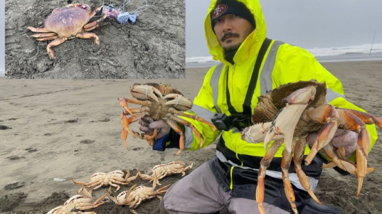 Crab snaring in the rain catching big Dungeness - YouTube
