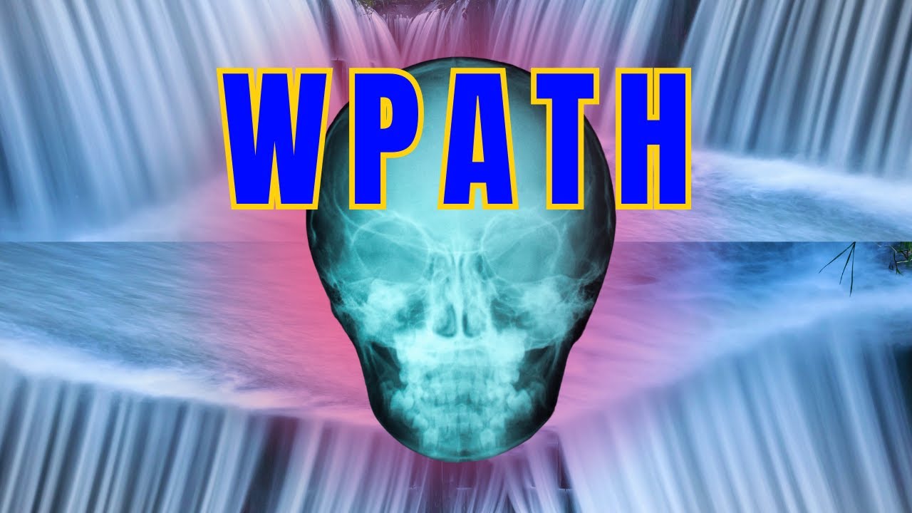 WPATH files The gaslighting part - YouTube