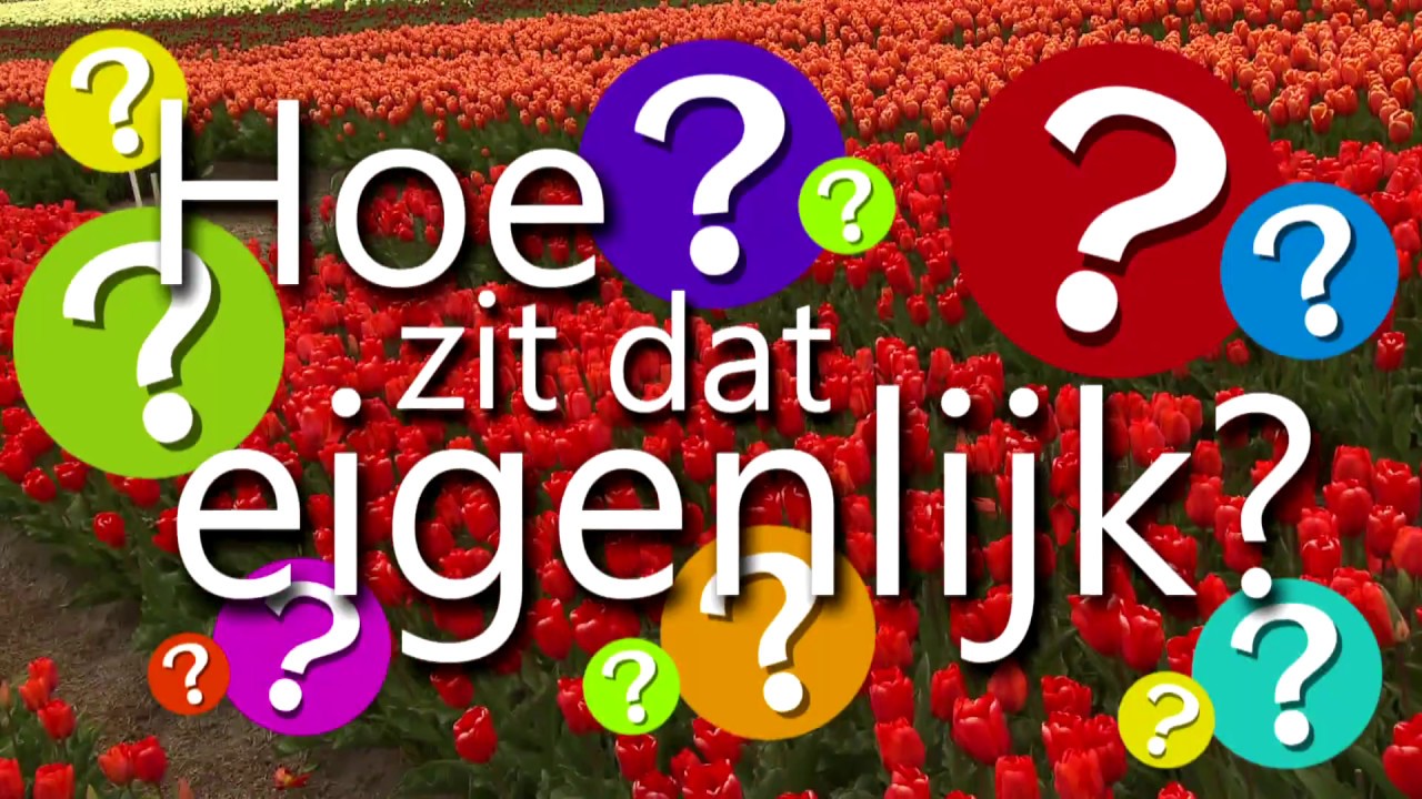 Hoe zit dat eigenlijk 3: Wat is de weg van de snijbloemen? - YouTube
