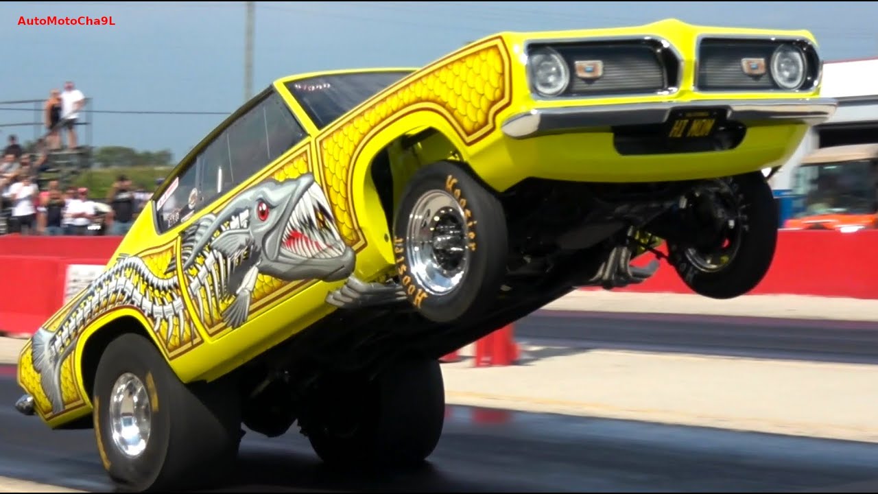 Higher the Better Cuda Bad Fish - YouTube