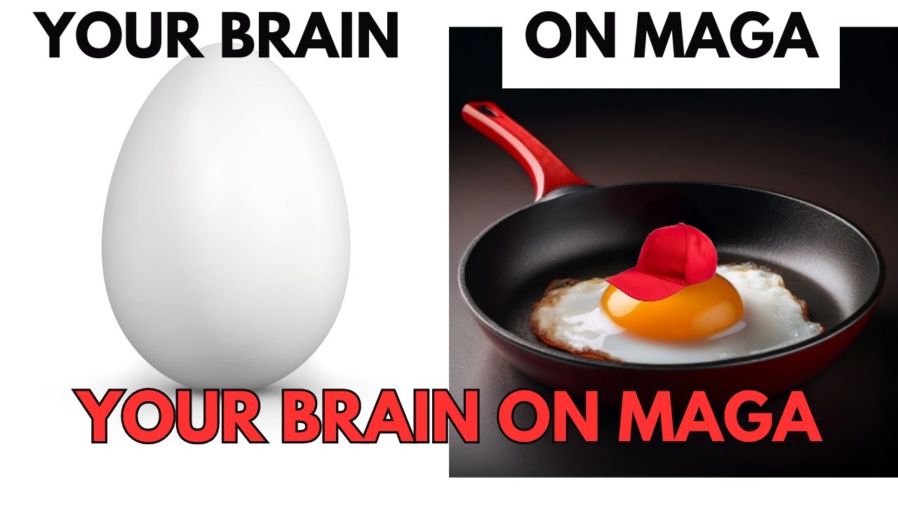 Your Brain on MAGA: The Shocking Truth Behind Political Influence - YouTube