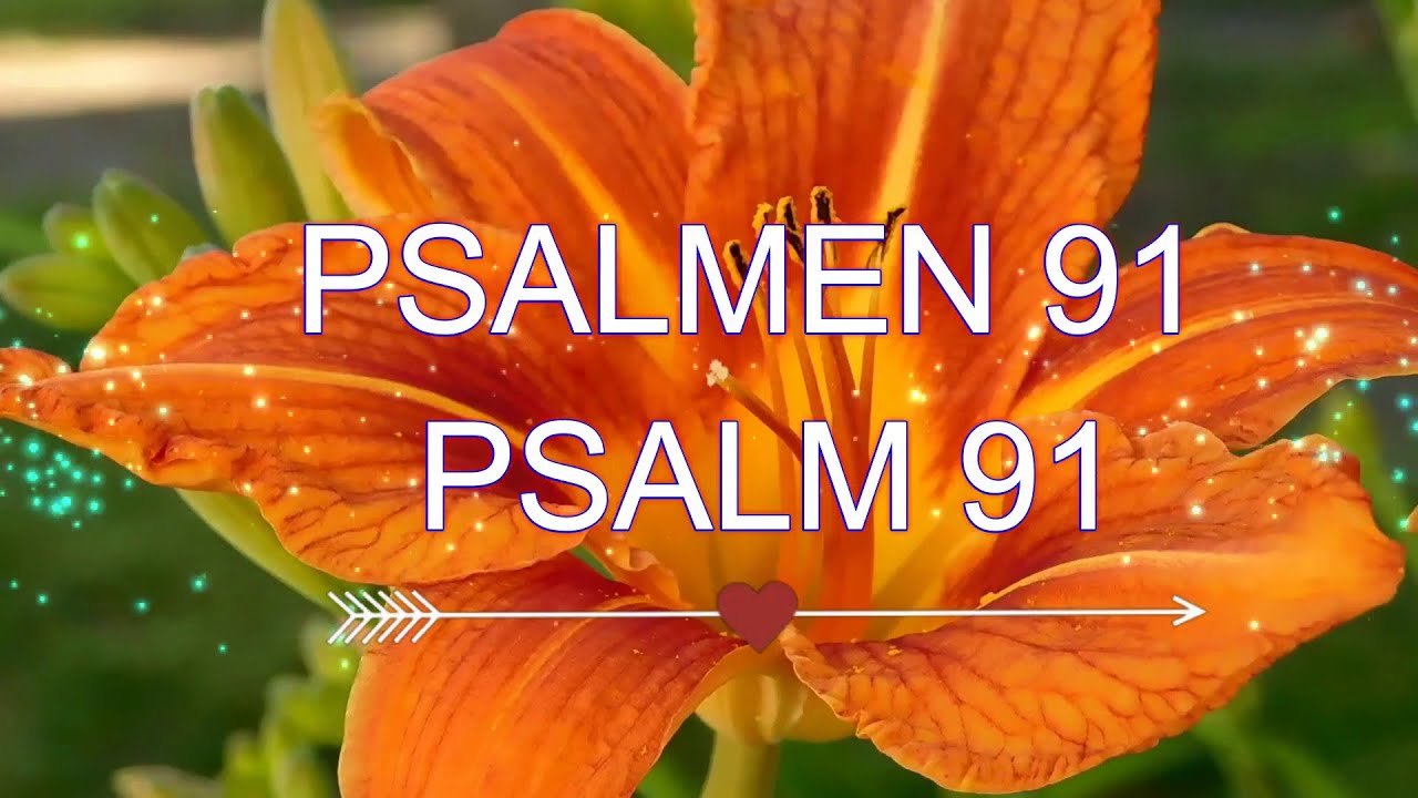 PSALMEN 91/ PSALM 91 GERMAN ENGLISH AV BIBLE - YouTube