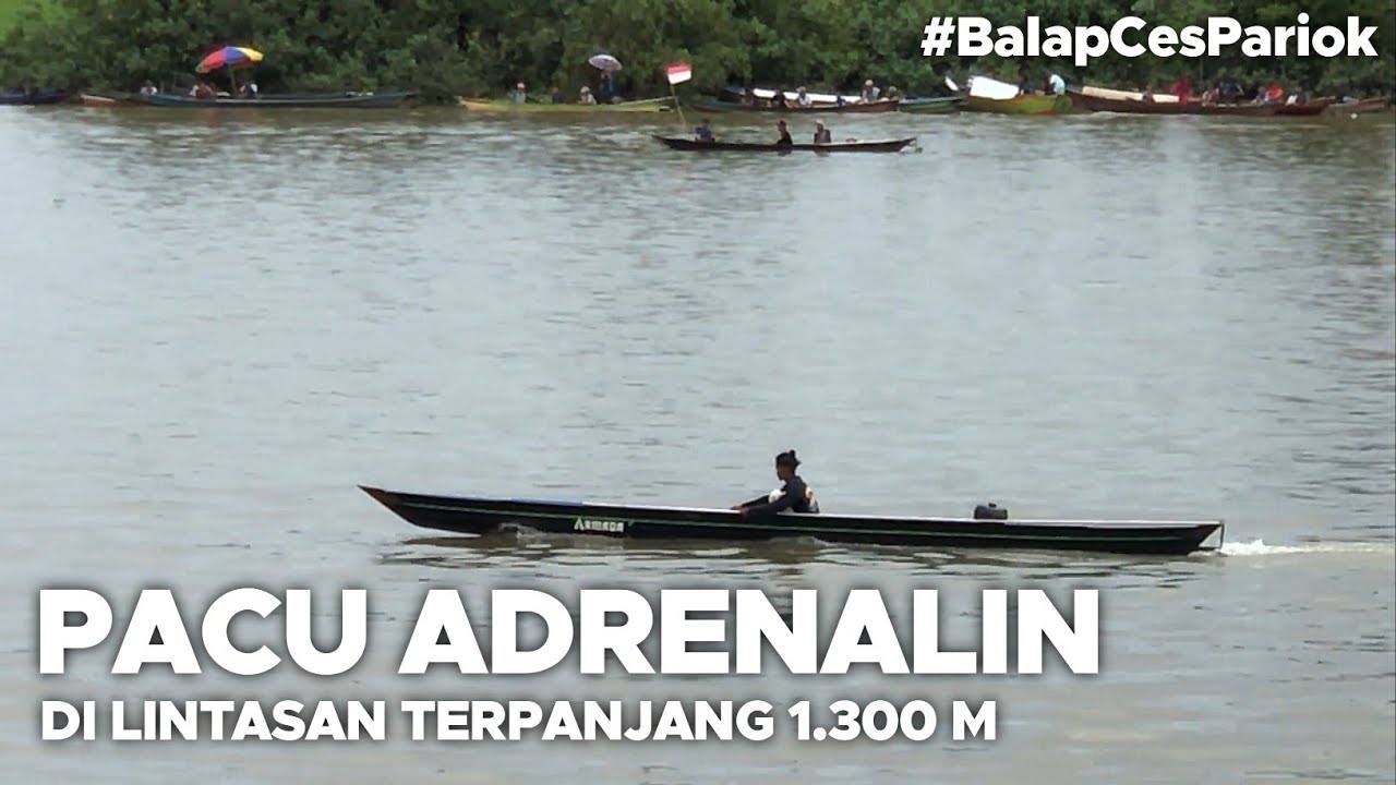 Balap Ces Pariok 2021 | Balap Ces 22 Hp Undang Antusias Warga - YouTube