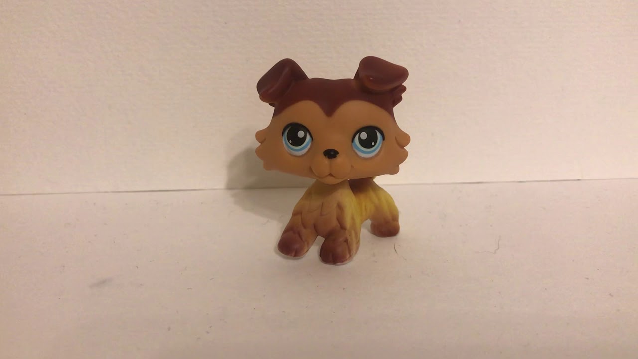 Nominate me in the lps echo official awards! - YouTube