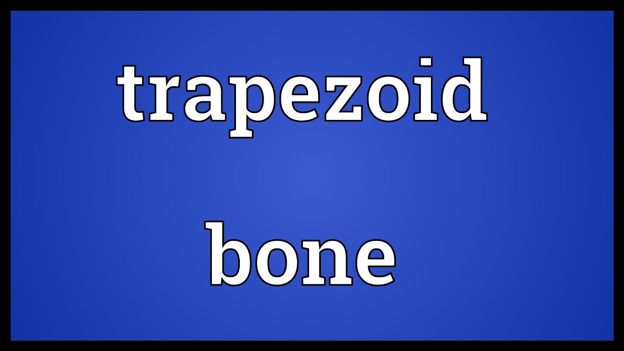 Trapezoid bone Meaning - YouTube