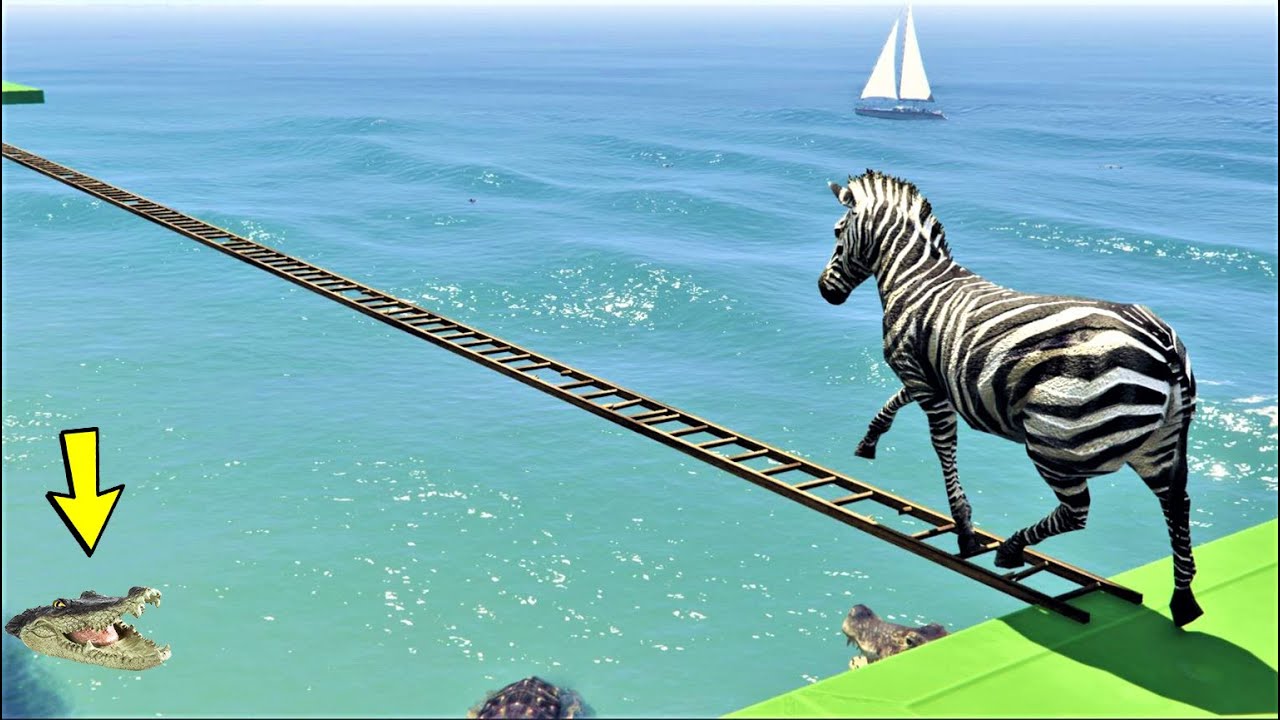 GTA 5 - Zebra vs crocodile - YouTube