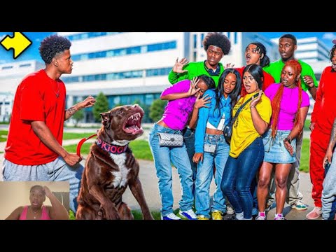 KINIGRA DEON| THE NEIGHBOR'S DOG ATTACKED FOR EATING HIS FOOD REACTION😂 ...