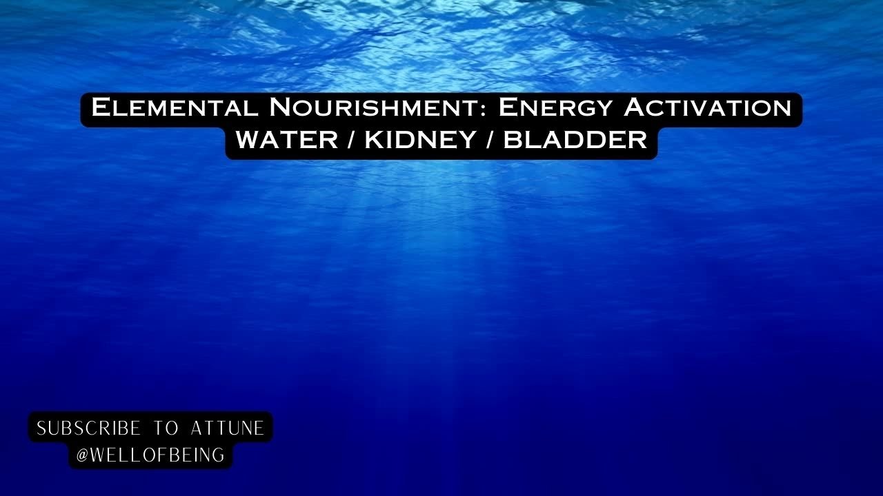 WATER / KIDNEY / BLADDER: ELEMENTAL NOURISHMENT 🌊 #elementals #fiveelements #energyhealing - YouTube