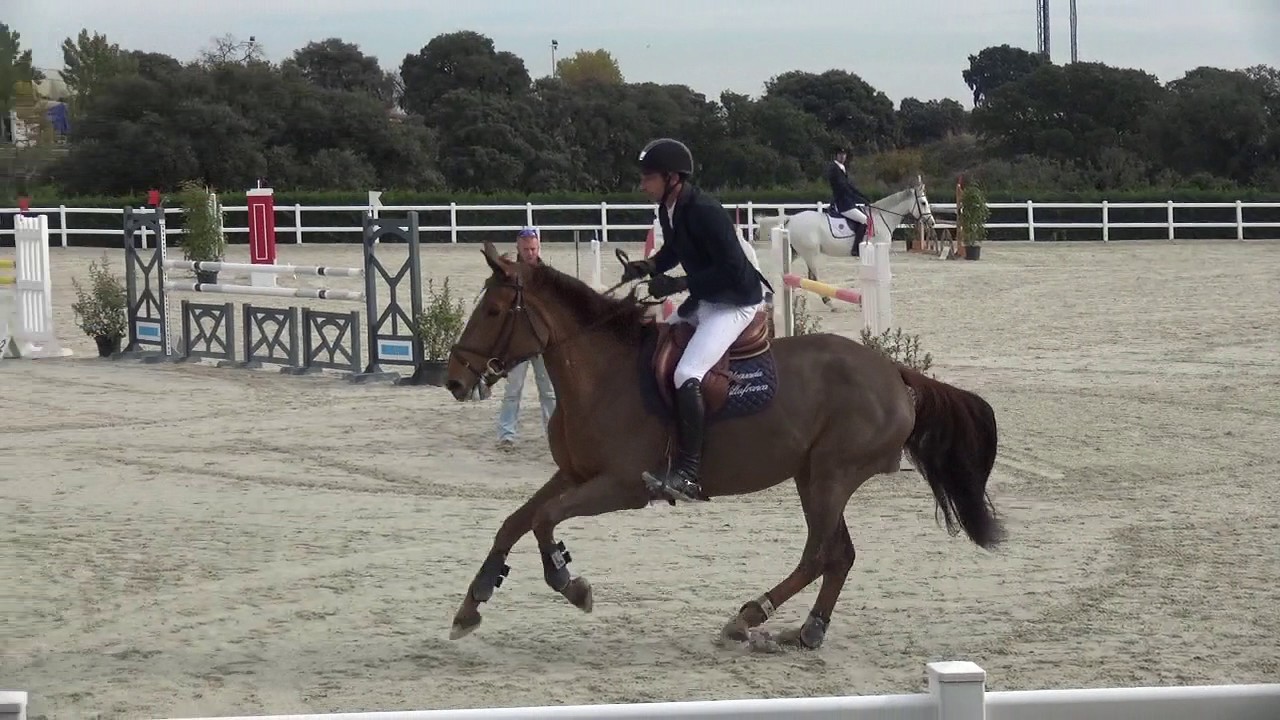 Anthony Hubert Berthou & Quality de Villafranca 12.11.16 - YouTube