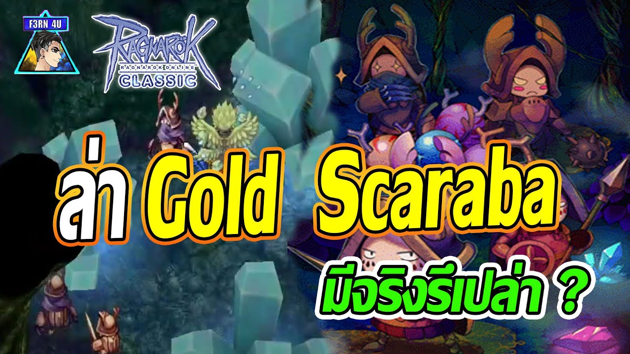 🔴ฟาร์มการ์ด Gold Scaraba มันมีจริงมั้ย EP 632 - Ragnarok Claasic - YouTube