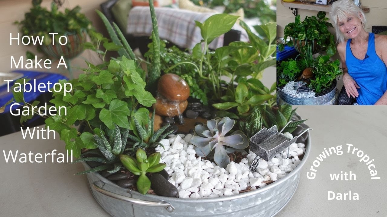 🌸💧 How To Make A Tabletop Garden With Waterfall // Growing Tropical ...