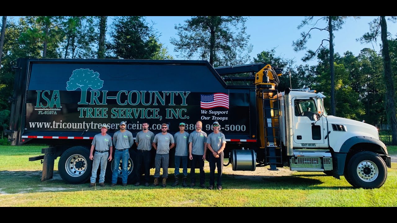 Tri-County Tree Services, Inc. - YouTube