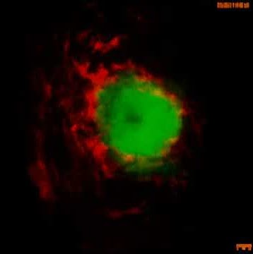 xy axis rotation - YouTube