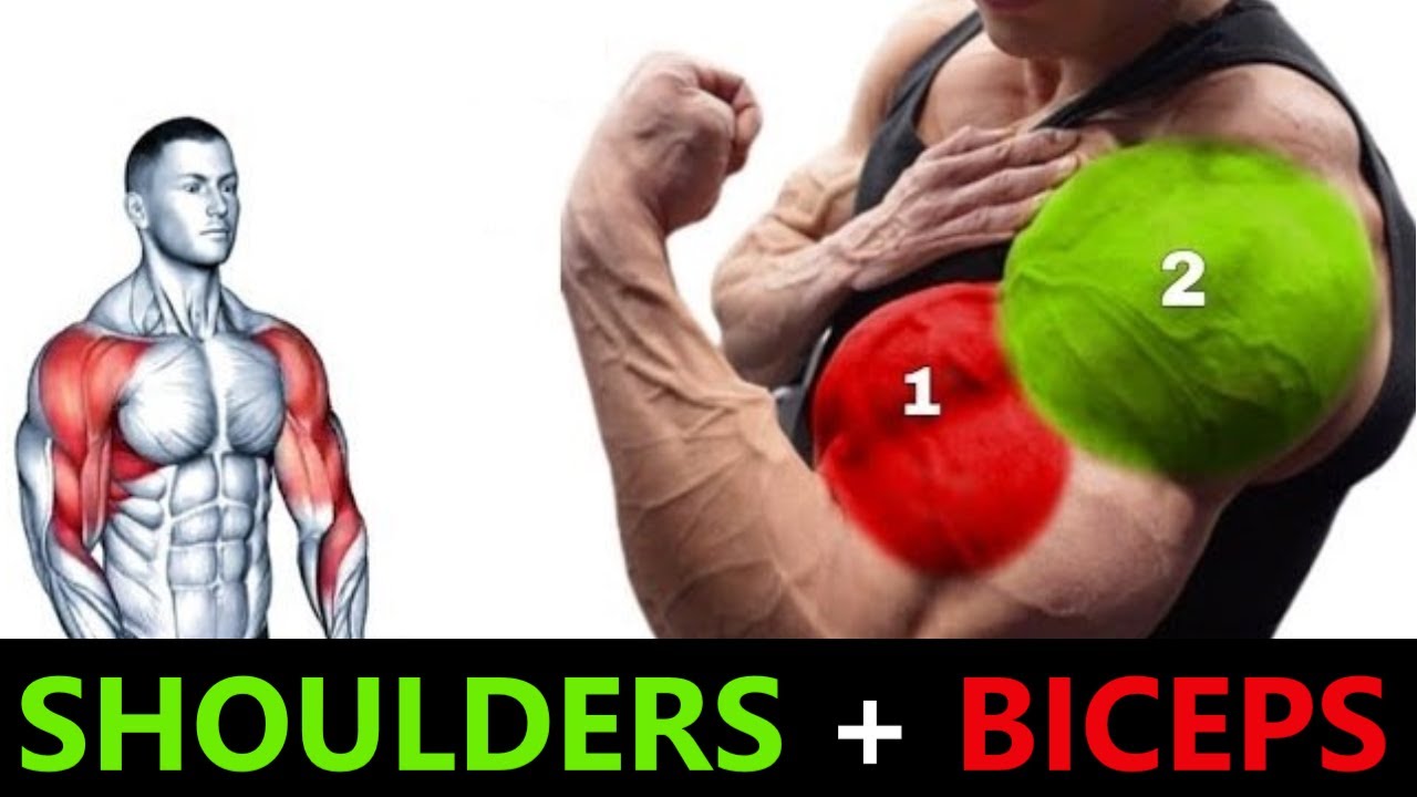 SHOULDER AND BICEP WORKOUT | MUSCLE BUILDING WORKOUT - YouTube