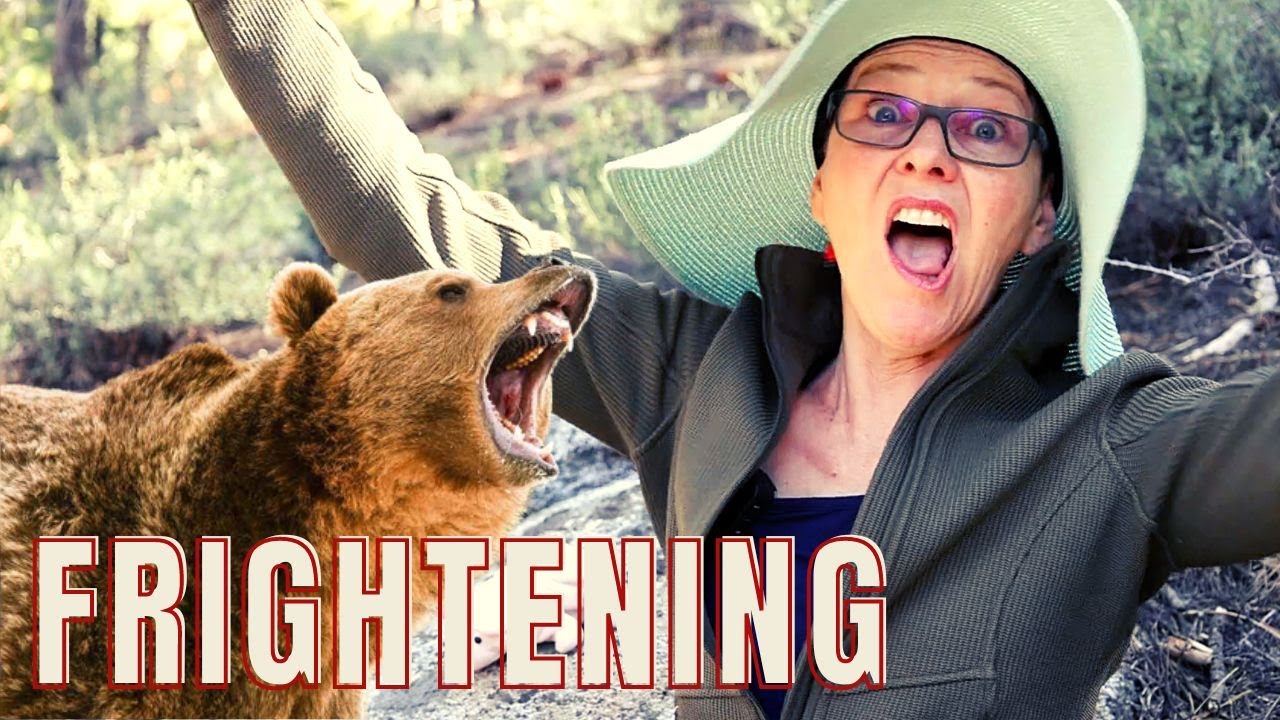 The TERRIFYING STORY of the All Night Bear Raid 😱 - YouTube