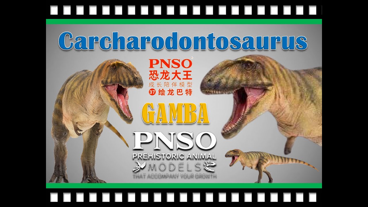 Gamba The Carcharodontosaurus PNSO Dinossauro Jurassic (Preview ) - YouTube