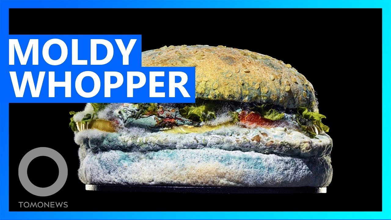 Moldy Whopper ad from Burger King - TomoNews - YouTube