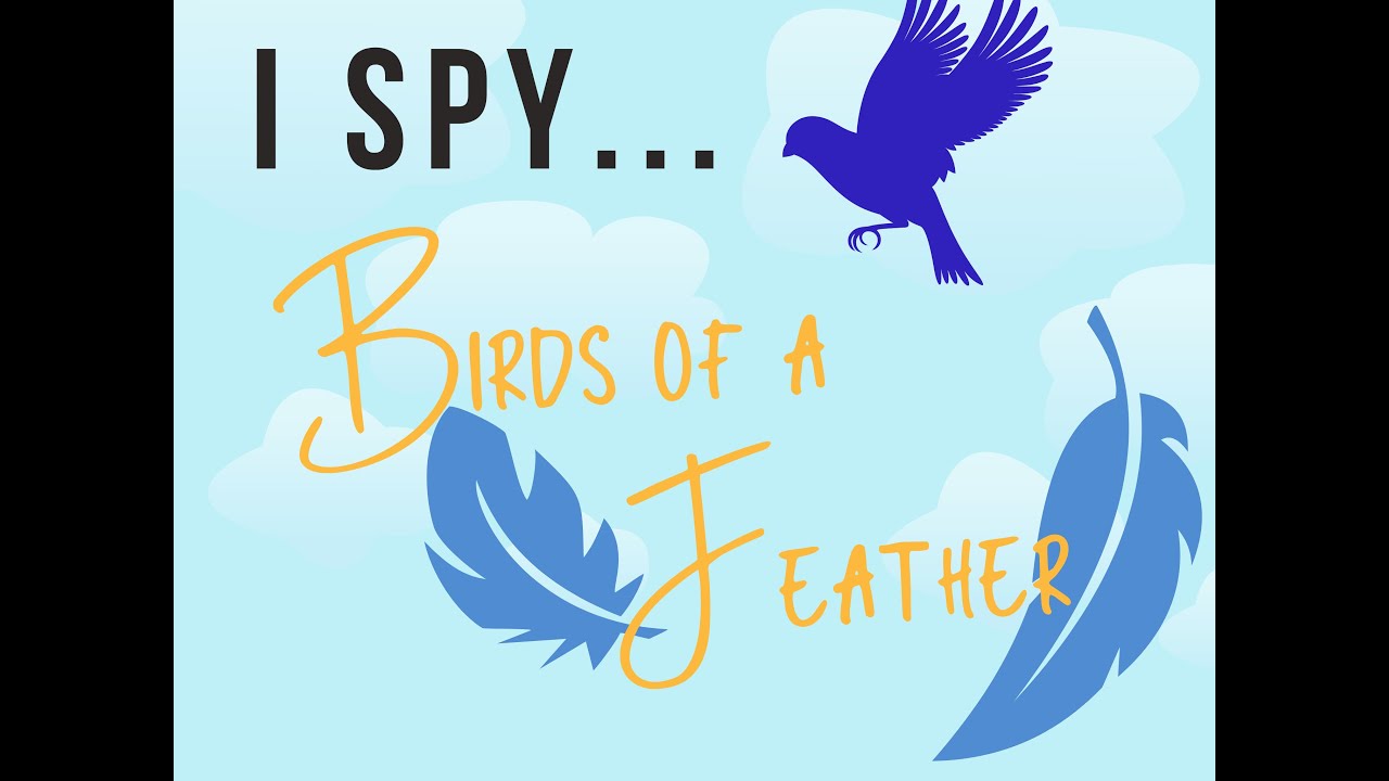Birds of a Feather I Spy - YouTube
