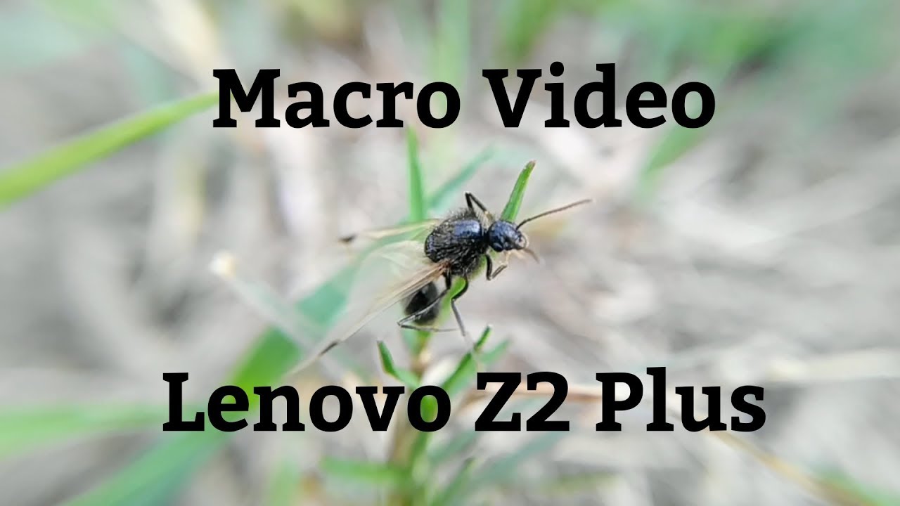Macro Video shot on Lenovo Z2 Plus. (The Best Camera Smartphone under 15k)