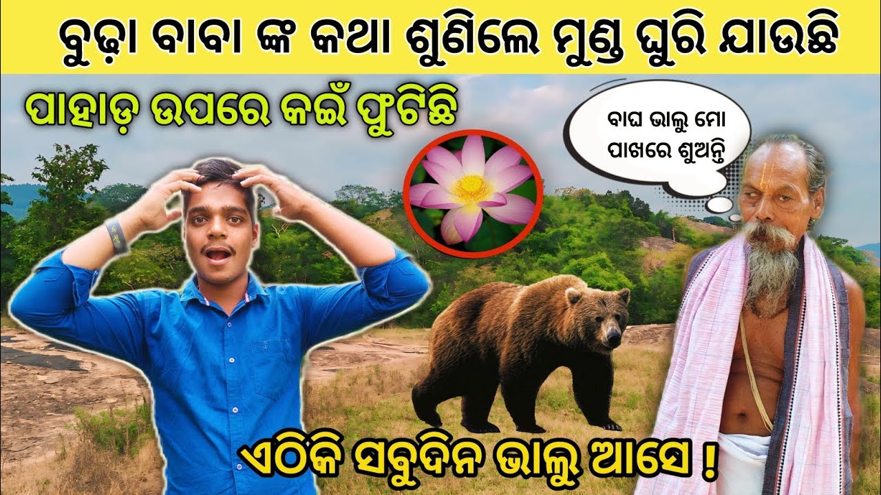 ଏଠିକି ସବୁଦିନ ଭାଲୁ ଆସେ//Bears come here every day//Explore with Ram babu ...