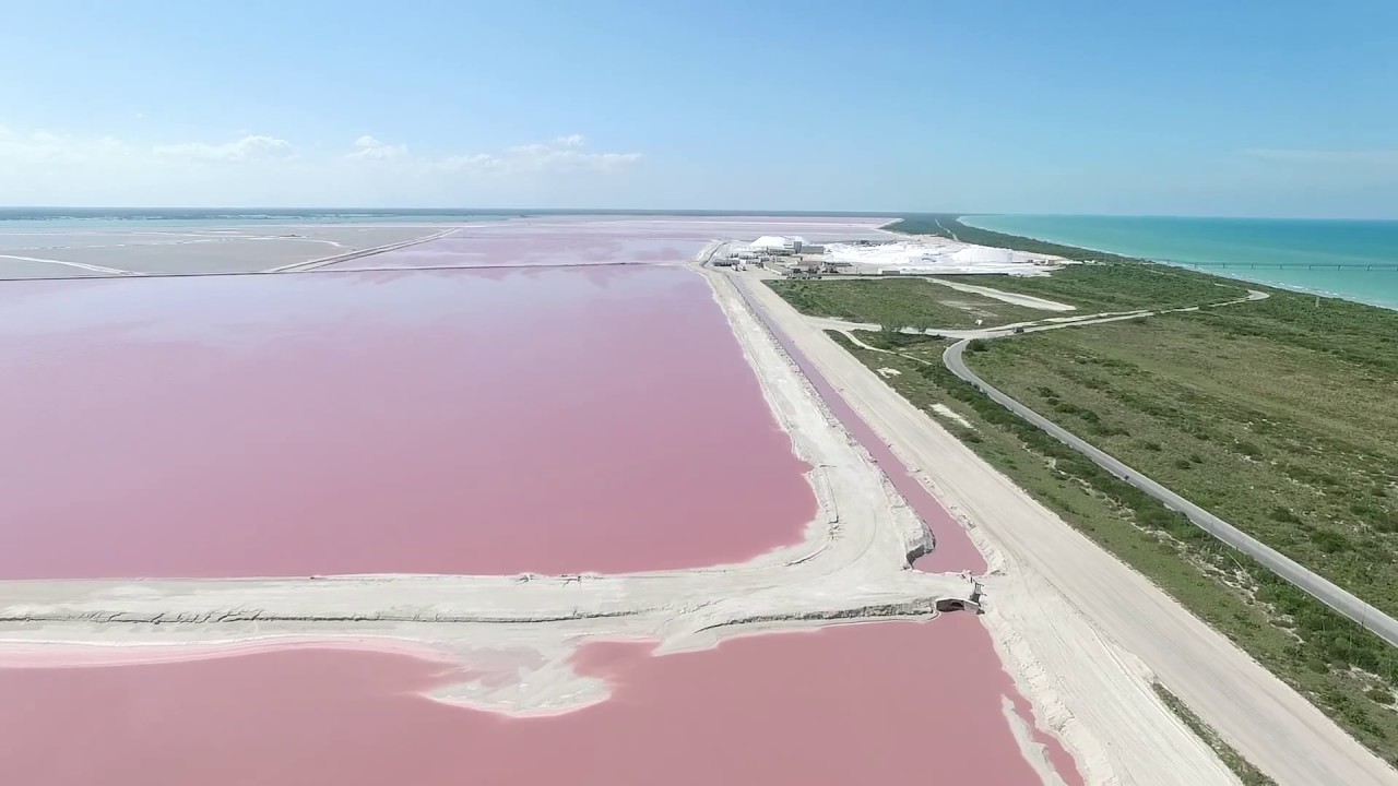 THE WEIRDEST SEA IN THE WORLD EL MAR MAS RARO DEL MUNDO Mar Rosa en ...