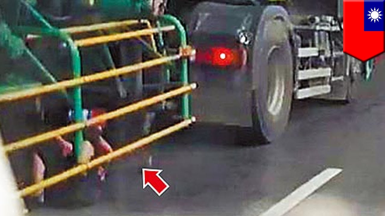 Lalaking lumpo, nasagasaan ng truck habang namimigay ng flyers sa ...