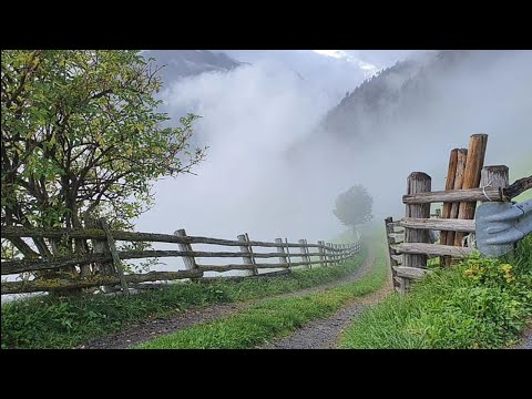 Best song nature fog whatsapp status♥️♥️🔥 ||