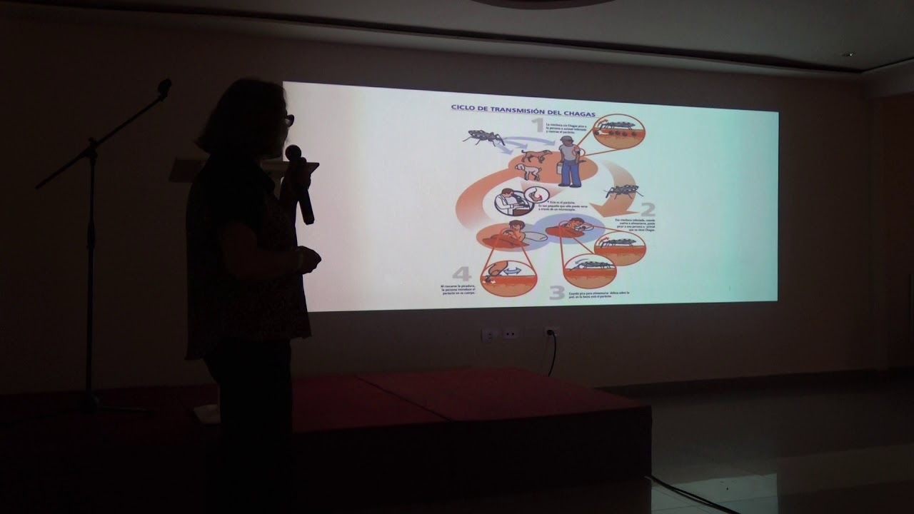 Ecotopos Urbanos y periurbanos en el contexto de la Tripanosomiasis ...