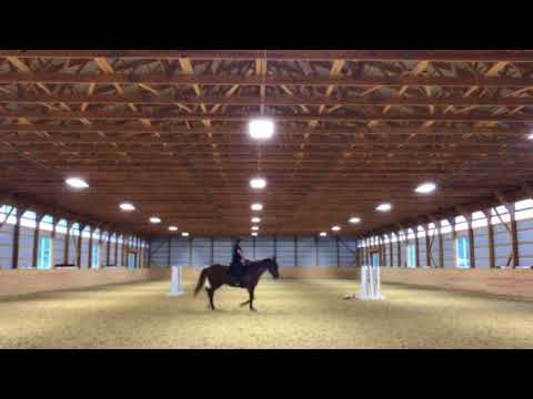 Daisy flatwork - YouTube