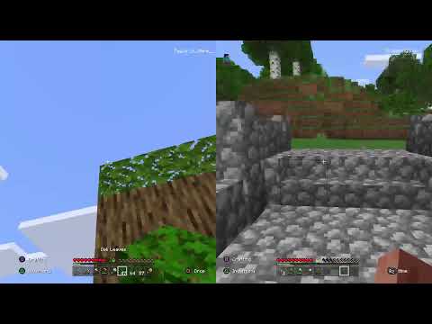 Playing Minecraft with Brothers - YouTube