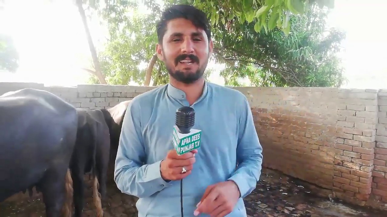 Neeli Ravi bafflow for sale in Pakistan on YouTube 5_9_2019 - YouTube