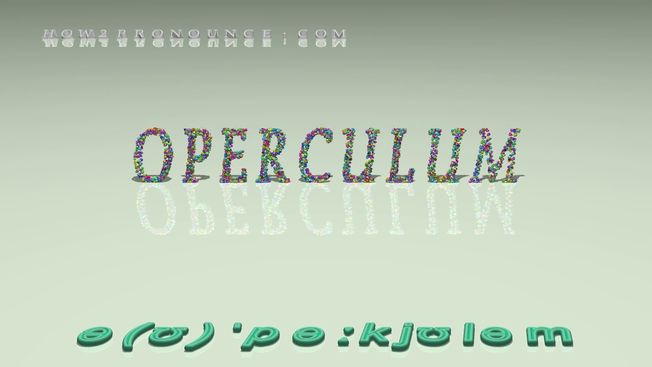 operculum - pronunciation + Examples in sentences and phrases - YouTube