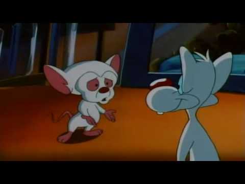 Pinky y Cerebro (Español Latino)