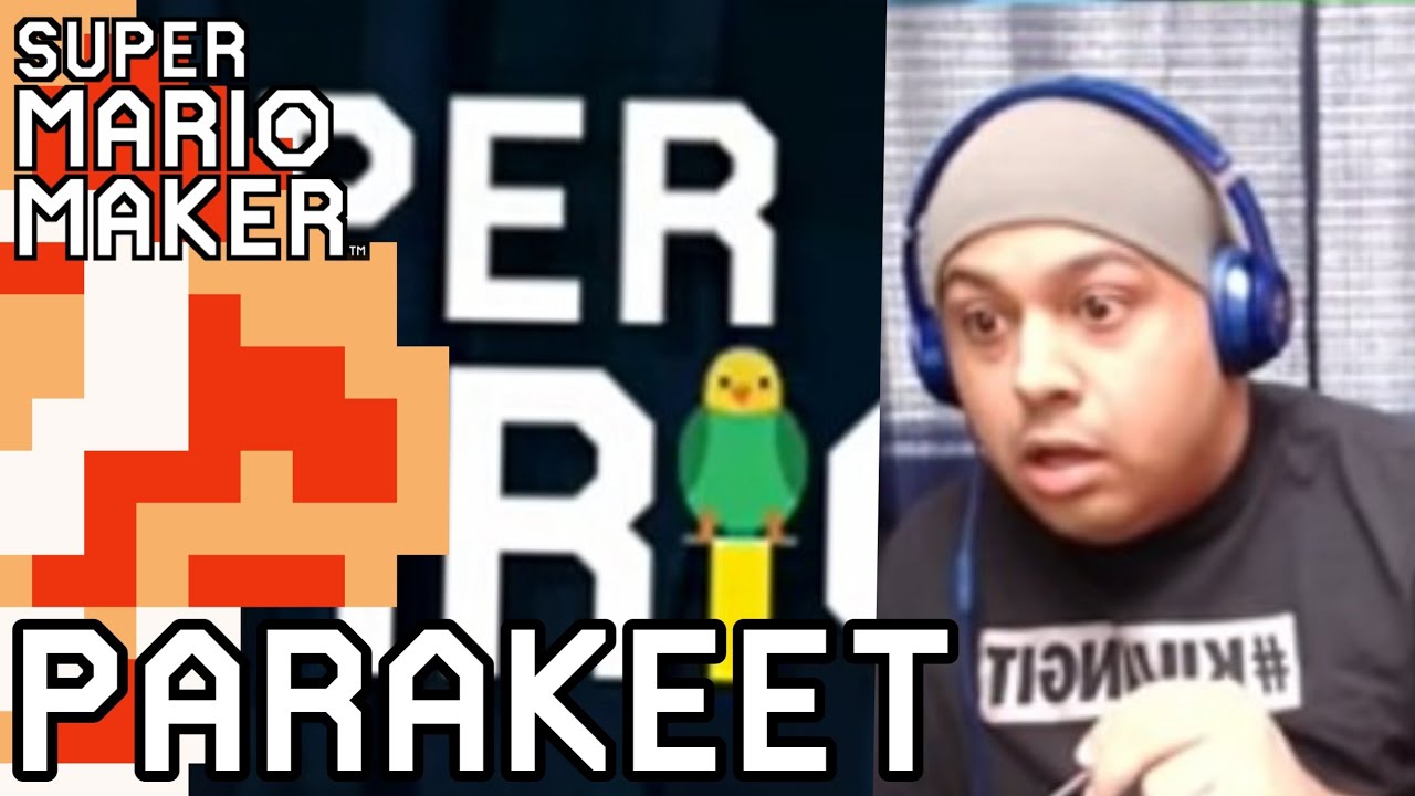 Super Mario Maker (Nintendo Levels): Parakeet Levels - YouTube