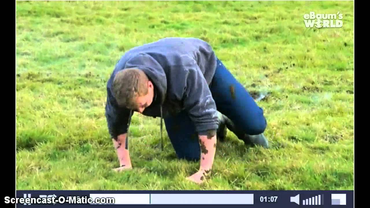 Exploding cow pat - YouTube