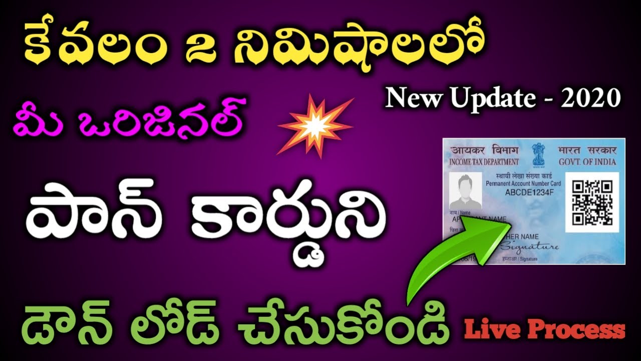 How To Recover A Lost PAN Card How To Download PAN Card In Online how-to-recover-a-lost-pan-card-how-to-download-pan-card-in-online