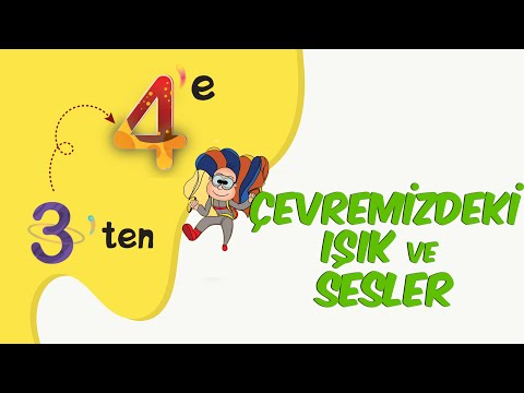 Çevremizdeki Işık ve Sesler | 3^'ten 4'e Hazırlık Kampı
