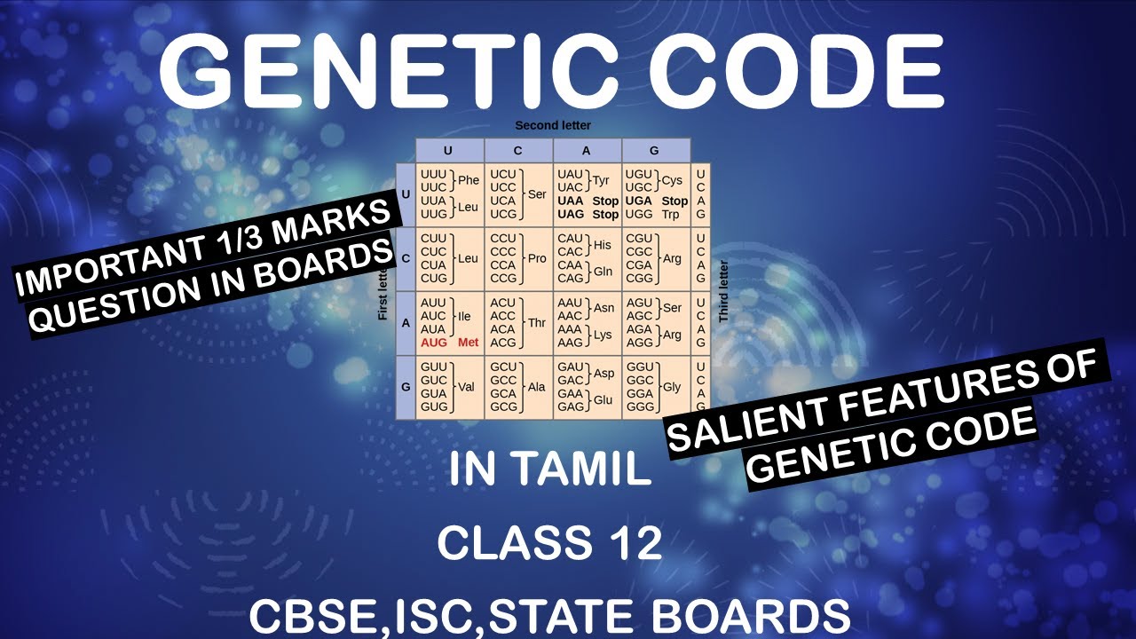 Genetic Code | In Tamil | Class 12| Molecular Basis Of Inheritance ...