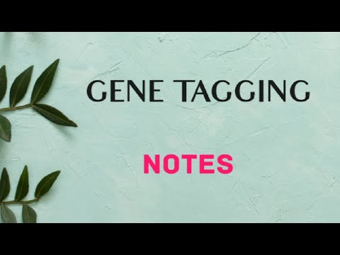 Gene Tagging || Notes for Exams || M.Sc.|| B.Sc.|| Biotechnology ...