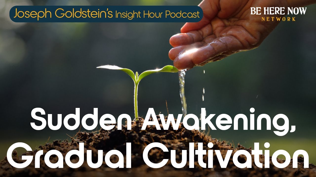 Joseph Goldstein: Sudden Awakening & Gradual Cultivation of Buddhist ...