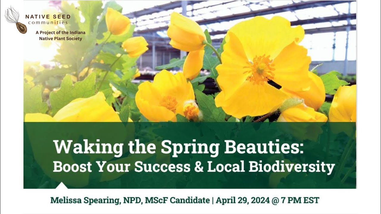 Waking the Spring Beauties, Boost Your Success and Local Biodiversity ...