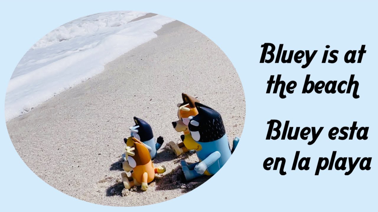 Bluey is at the beach with family/Bluey esta en la playa con su familia ...
