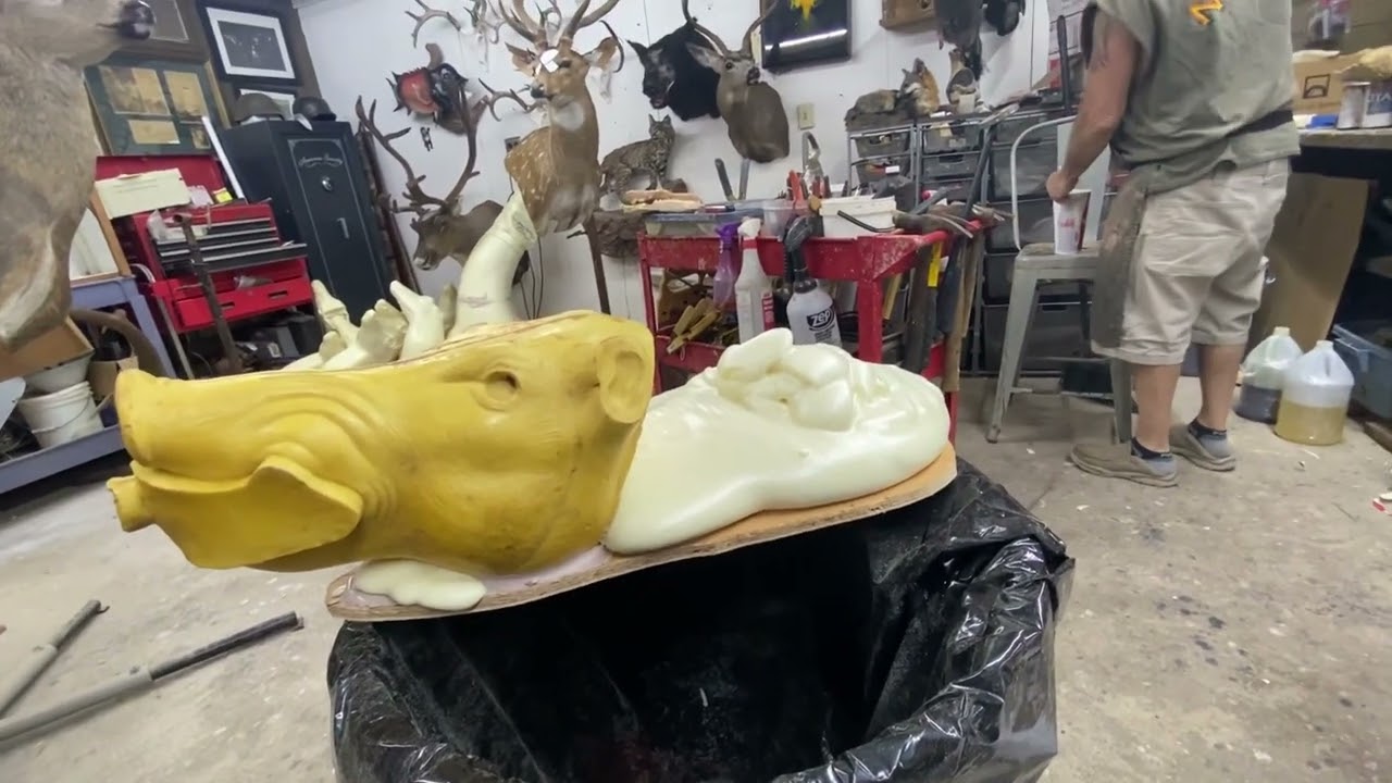 Taxidermy tip! Making a Wild Boar rug part 1 - YouTube