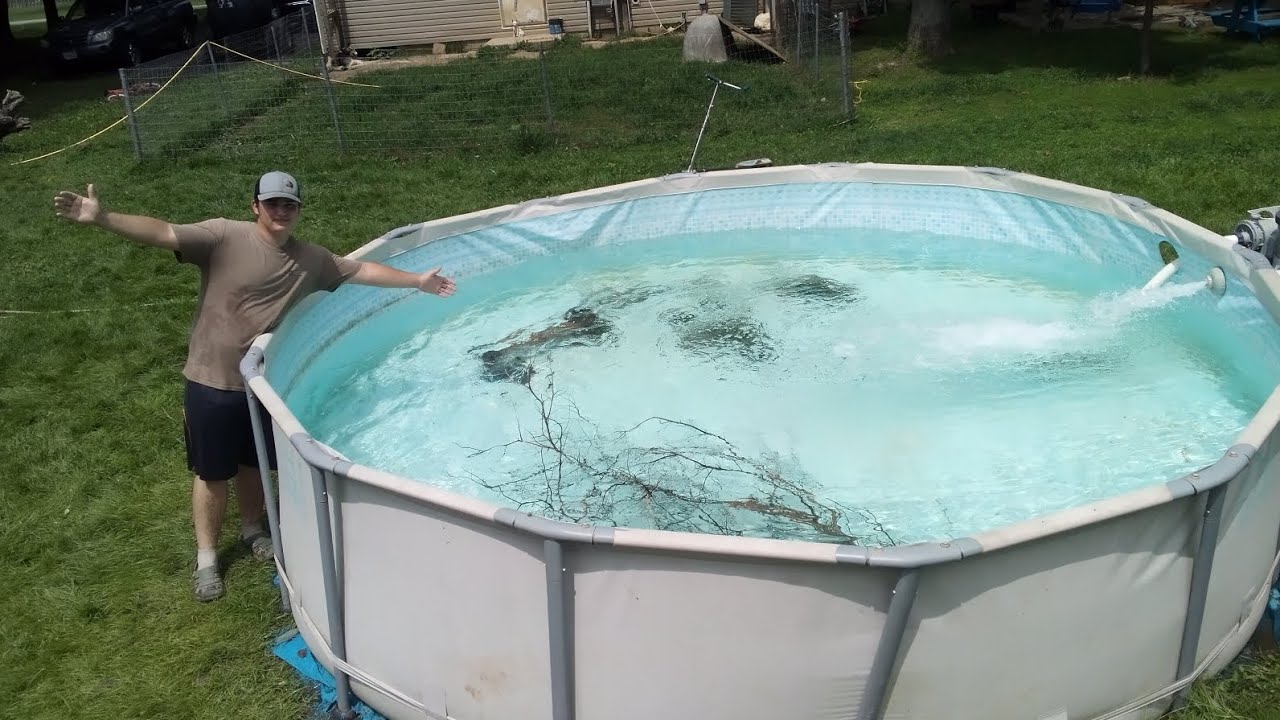 Putting fish in the pool pond!!! - YouTube