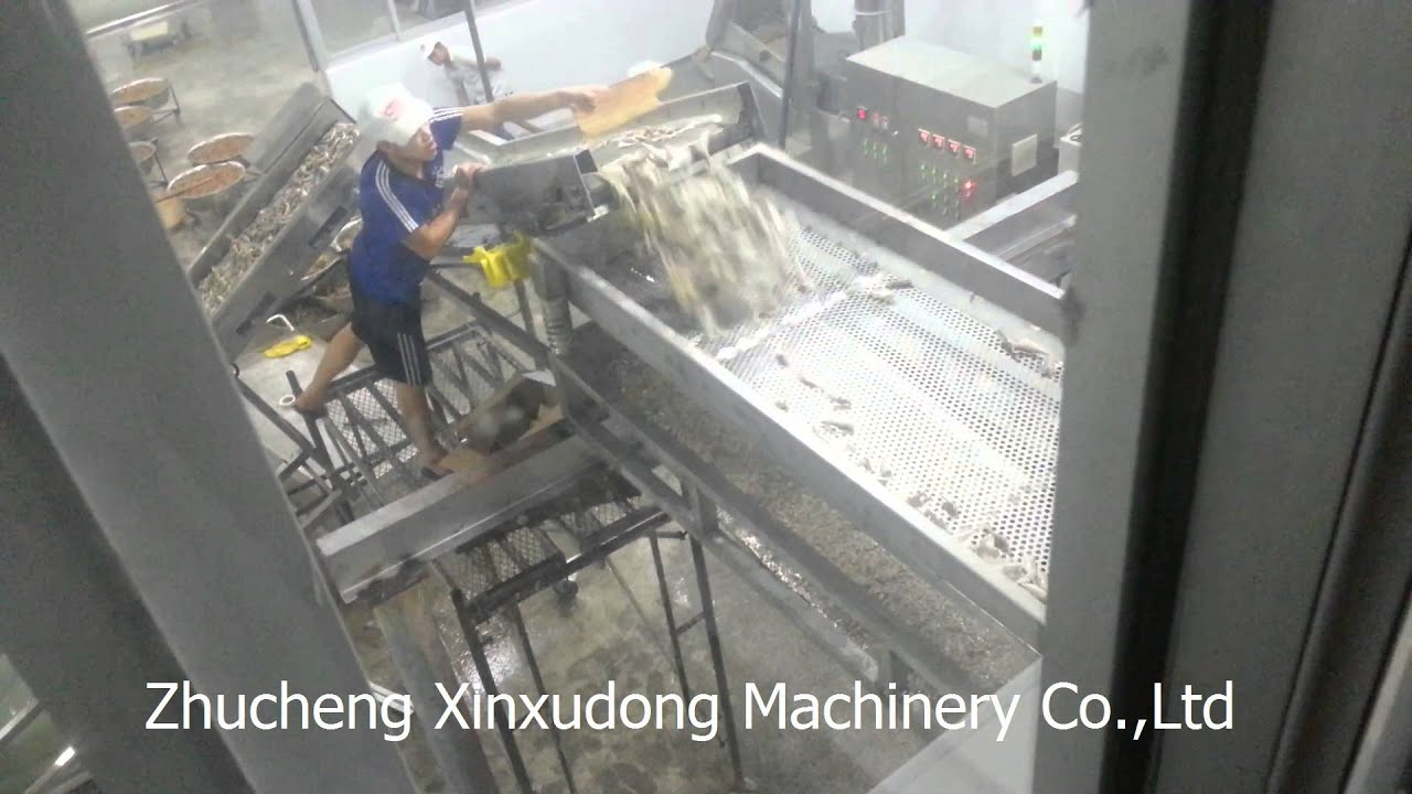 frozen fish processing line - YouTube