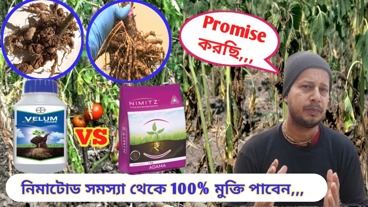 নিমাটোড সমস্যার Perfect Solution || Bayer Velum Prime || Adama Nimitz ...